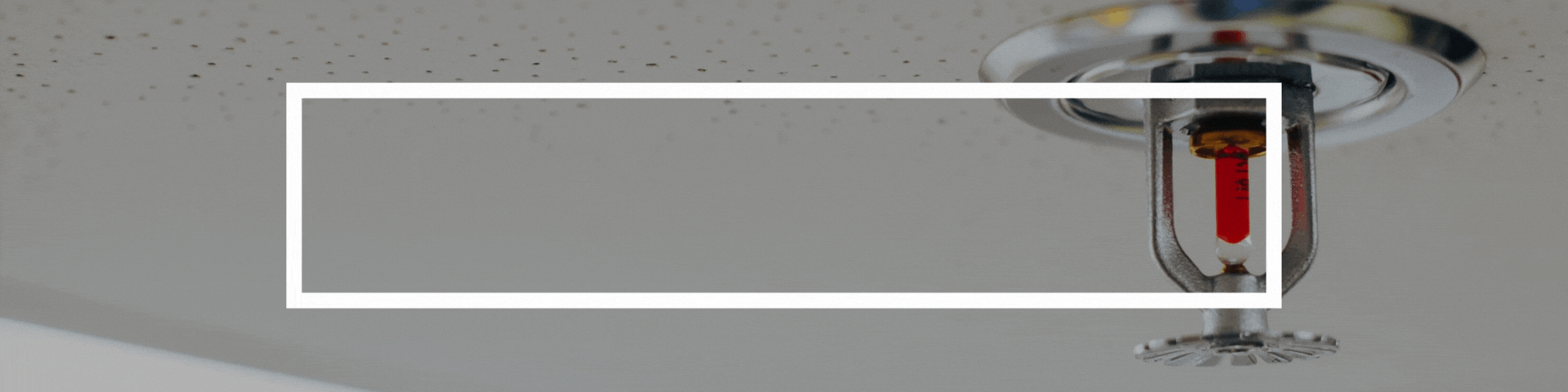 Sprinkler – Sekior